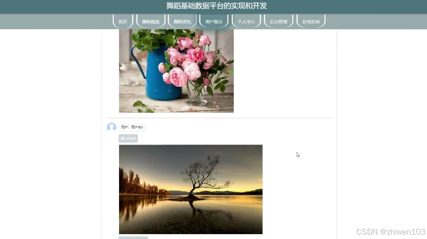 基于nodejsvue舞蹈基础数据平台的实现和开发 开题源码程序论文 计算机毕业设计 Csdn博客