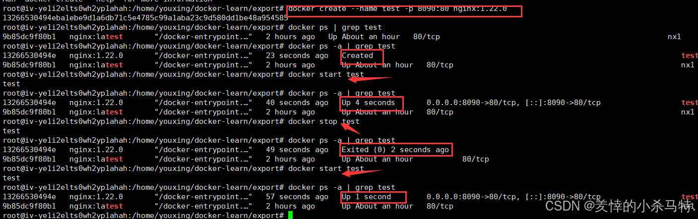 Docker容器操作流程超详细攻略！attach/detach模式怎么选？自动重启如何配置？等等等 一篇带你全吃透！_docker detach-CSDN博客