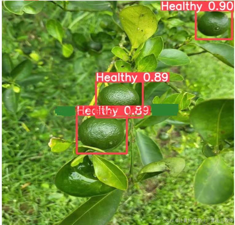 Yolov8训练使用柑橘叶片病虫害数据集权重来识别蓟马橘叶片病虫害检测 使用flask或fastapi等框架构建一个基于yolov8的柑橘叶片病虫害检测系统柑橘病虫害数据集 Csdn博客