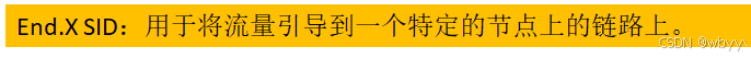 SRv6第八弹：SRv6 END行为总览-CSDN博客