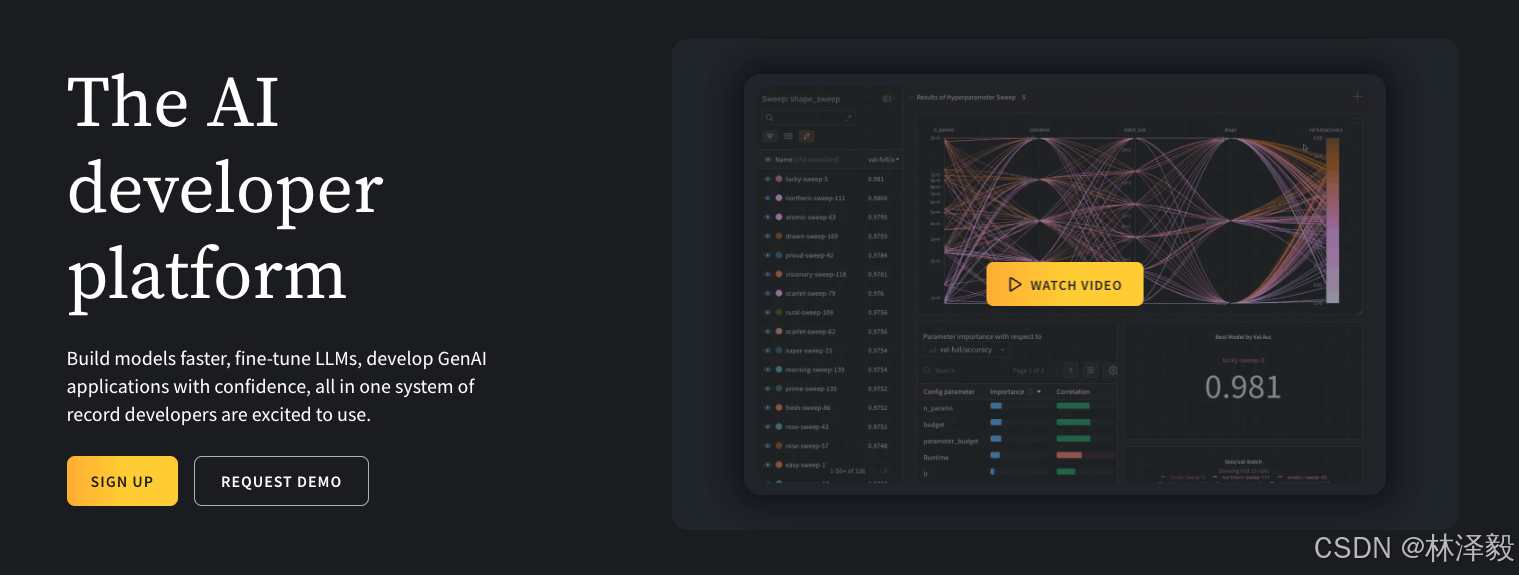 SwanLab使用技巧：一行代码同步Wandb_swanlab wandb-CSDN博客