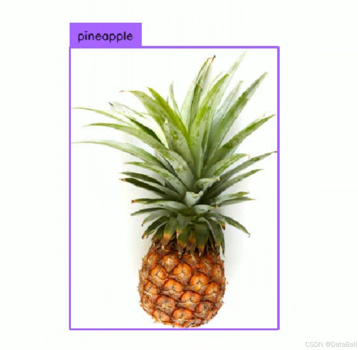 数据集-目标检测系列- 凤梨 菠萝 检测数据集 pineapple ＞＞ DataBall_凤梨识别数据集-CSDN博客