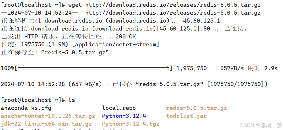 Linux---源码安装Python、redis、MongoDB_linux安装python3.12-CSDN博客