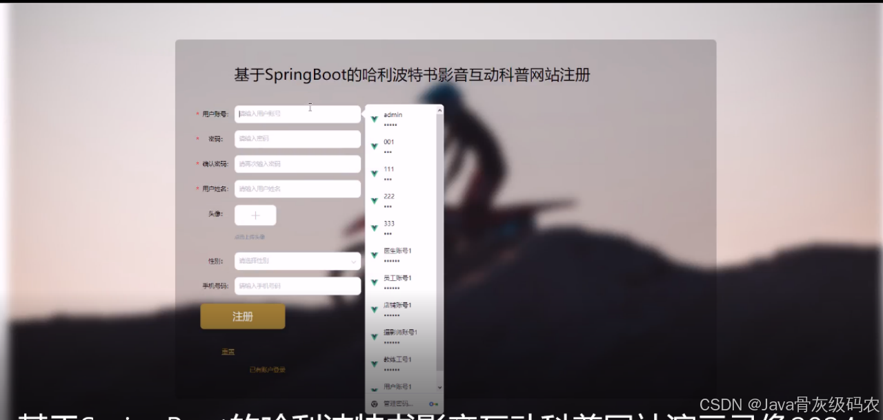 【java毕业项目】基于springbootvue的哈利波特书影音互动科普网站的设计与实现（源码lw包运行） Csdn博客