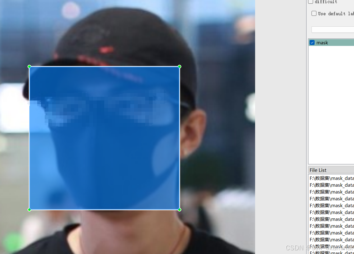 YOLO格式数据集合集_yawdd数据集下载-CSDN博客