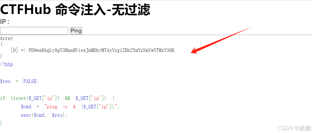 CTFhub-RCE_ctfhub rce-CSDN博客