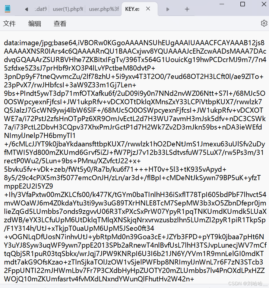 BUUCTF(Misc)——N种方法解决_buuctfn种方法解决-CSDN博客
