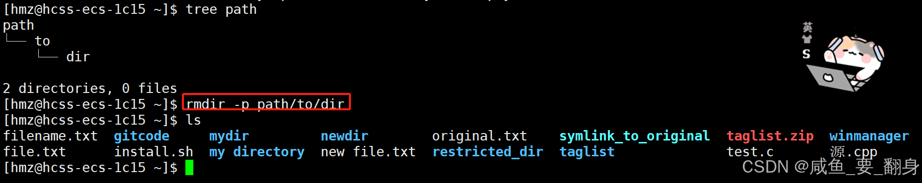 Linux基本命令篇 —— rmdir命令-CSDN博客