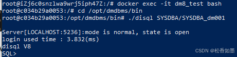 Docker部署DM8_dm8 docker镜像-CSDN博客