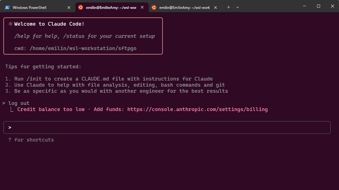 claude code环境的搭建（基于wsl）_claude code wsl-CSDN博客