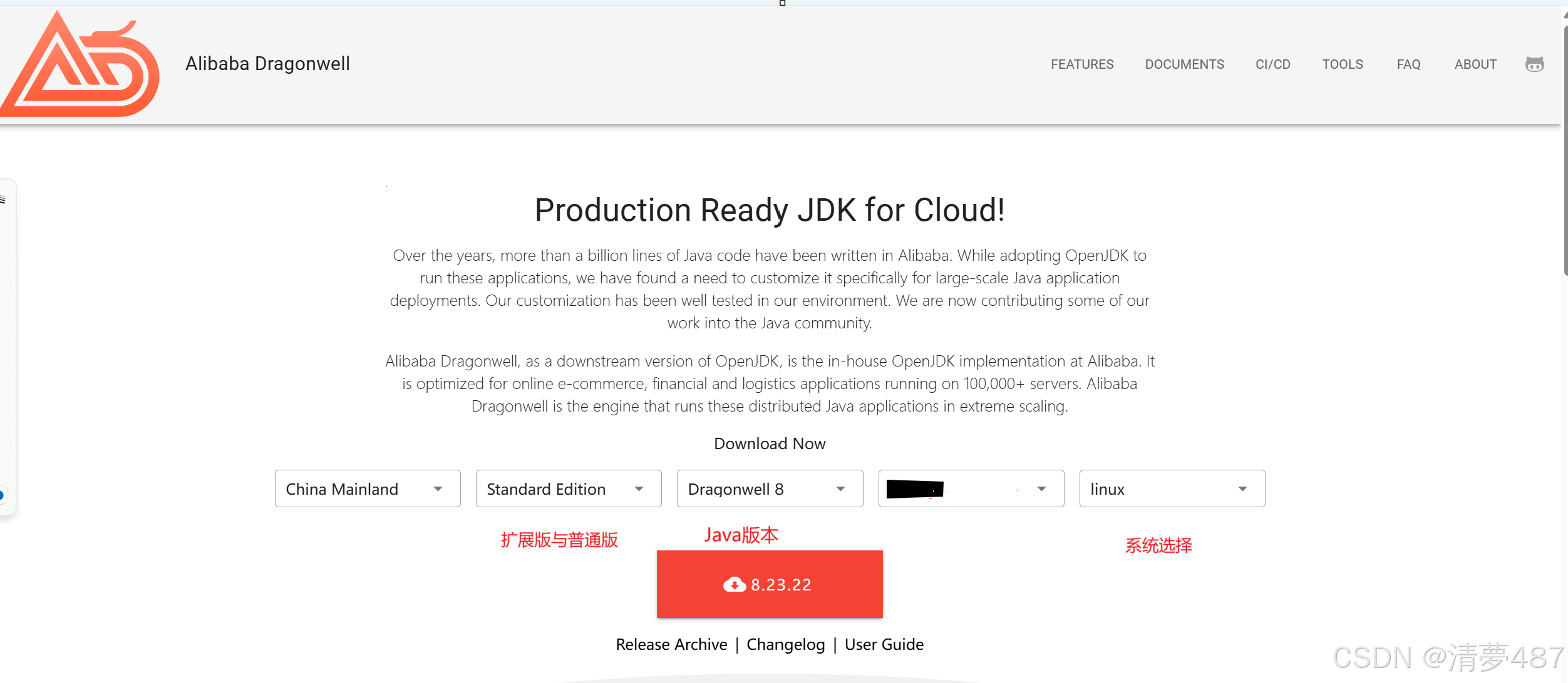 java环境安装教程，阿里的java，jdk，安装教程 Alibaba Dragonwell_阿里ajdk21.0.5-CSDN博客