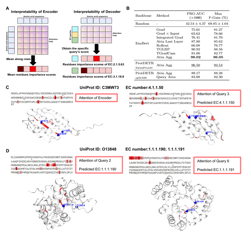 论文Interpretable Enzyme Function Prediction via Residue-Level Detection（ProtDETR）_ec 1.1.1.190-CSDN博客