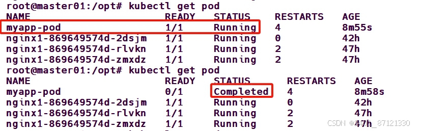 pod详解_pod网络-CSDN博客