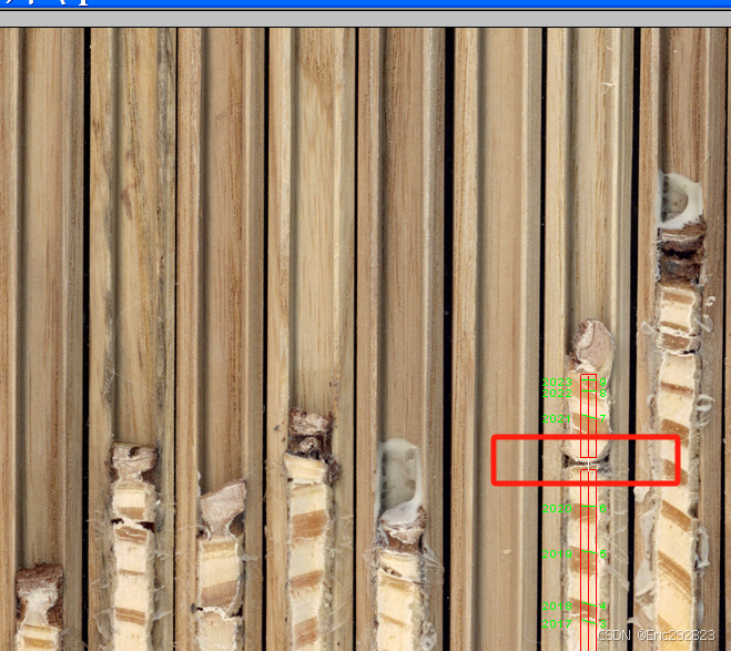 windendro 2005版本安装包与基础操作—中文教学-CSDN博客