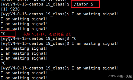 Linux多进程学习笔记（二）并发（信号）_memcpy 函数可重入吗-CSDN博客