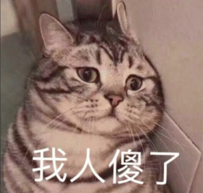 NeurIPS 2025评审现“逆天意见”：Adam是什么？今天细扒Adam优化器！-CSDN博客