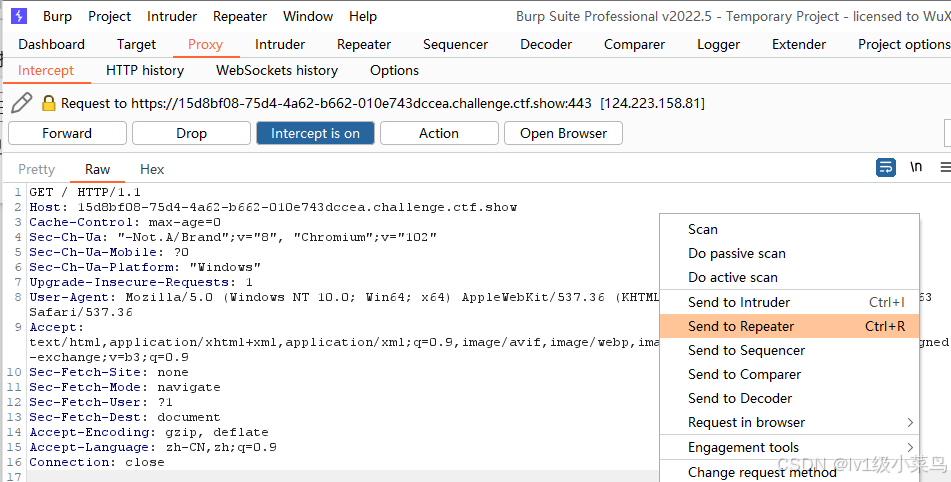 【网络安全】ctf实战-ctf.show-vip题目限免_ctfshow vip限免-CSDN博客