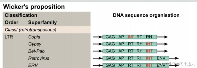 TEsorter：TE的分类和可视化-CSDN博客