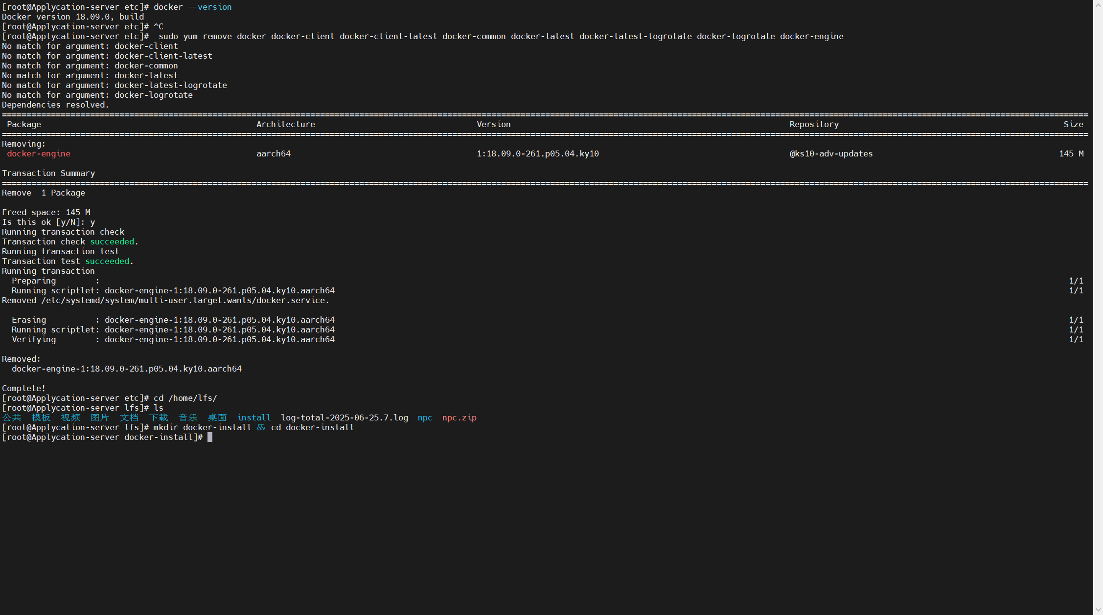 麒麟V10自带DOCKER升级20.10.24版本_麒麟系统升级docker-CSDN博客