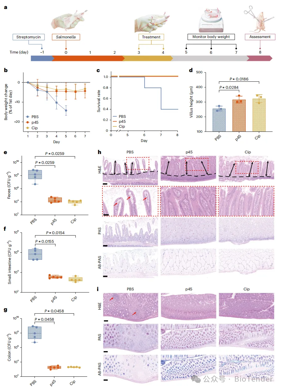 AIDD-人工智能药物设计-AI+生物：从头设计功能性自组装肽_肽 粗粒度分子动力学模拟-CSDN博客