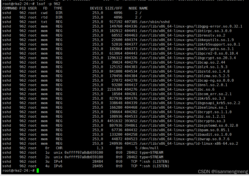 lsof 命令介绍和使用案例_lsof -i:端口号-CSDN博客