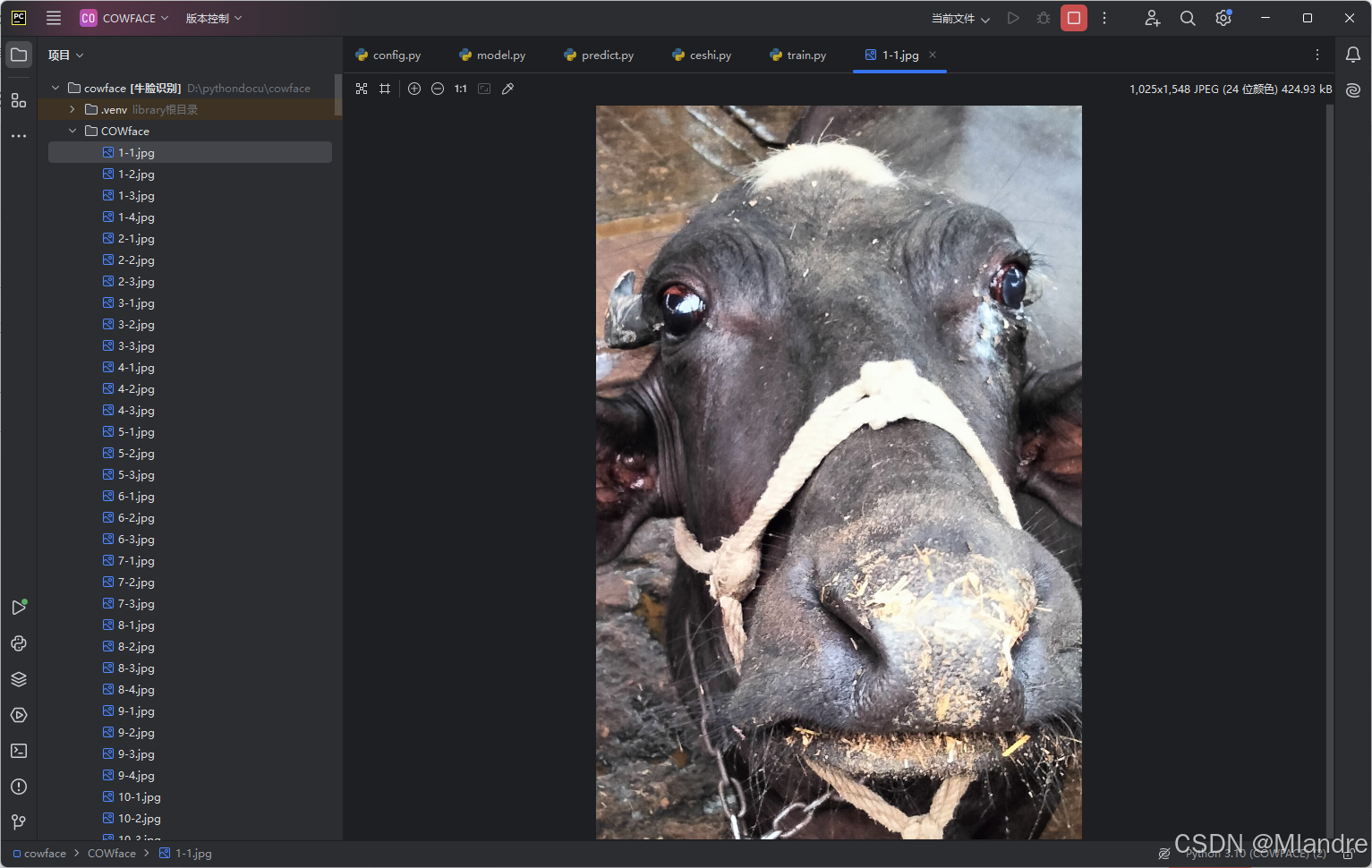 0基础速通facenet人脸识别/牛脸识别项目详细教程-CSDN博客