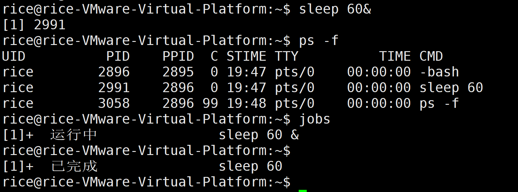 理解shell-CSDN博客