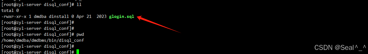 DM8数据库：DIsql环境变量配置_达梦数据库配置环境变量-CSDN博客