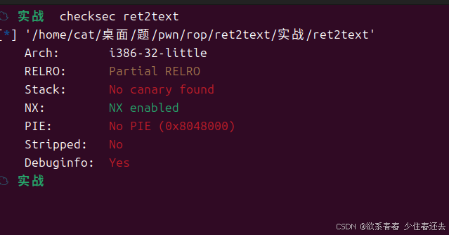 [rop简单讲解 和基本rop使用]_snps的memory的rop是什么-CSDN博客