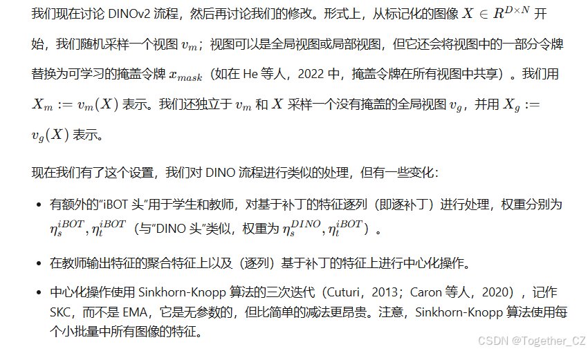Simplifying DINO via Coding Rate Regularization——通过编码率正则化简化 DINO_simdino-CSDN博客