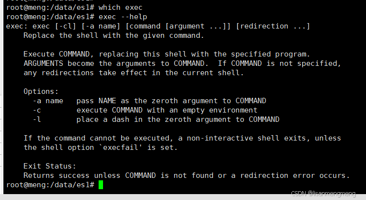 Linux 操作系统下 Exec 命令介绍和使用案例 Csdn博客