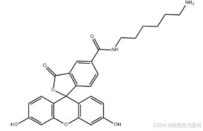 FAM amine, 5-isome|5-羧基荧光素-氨基盐酸盐|5-FAM-NH2·HCl|cas：138589-19-2-CSDN博客