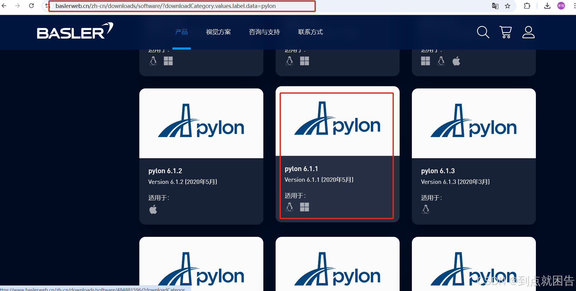 巴斯勒工业相机SDK二次开发（VS+QT+巴斯勒SDK+C++）_basler pylon二次开发-CSDN博客