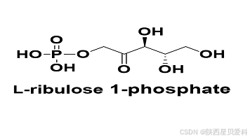 CAS号：2922-69-2，L-ribulose 1-phosphate，l-核酮糖1-磷酸_cas 2922-69-2-CSDN博客