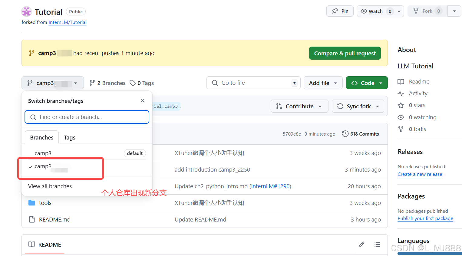 Intern实战营-L0-Git-CSDN博客