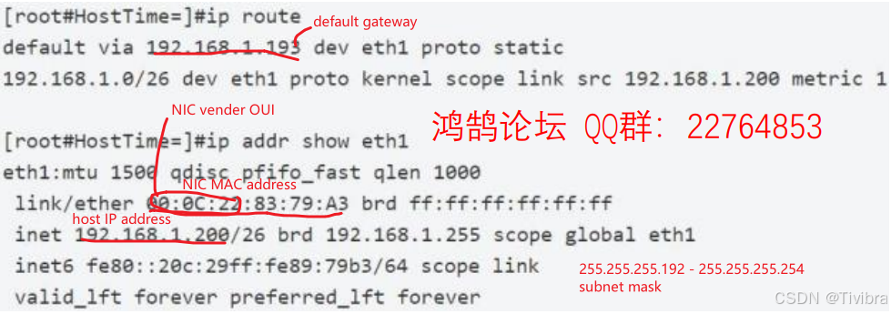 CCNA 0基础入门_零基础 ccna-CSDN博客