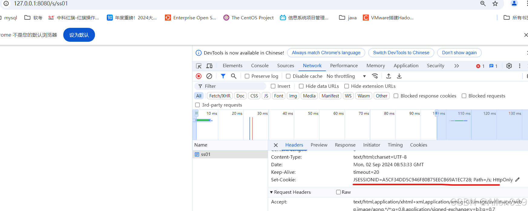 Web项目(九)Session_web session-CSDN博客