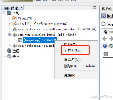 JDK神器之jVisualVM（java内存映射工具）-CSDN博客