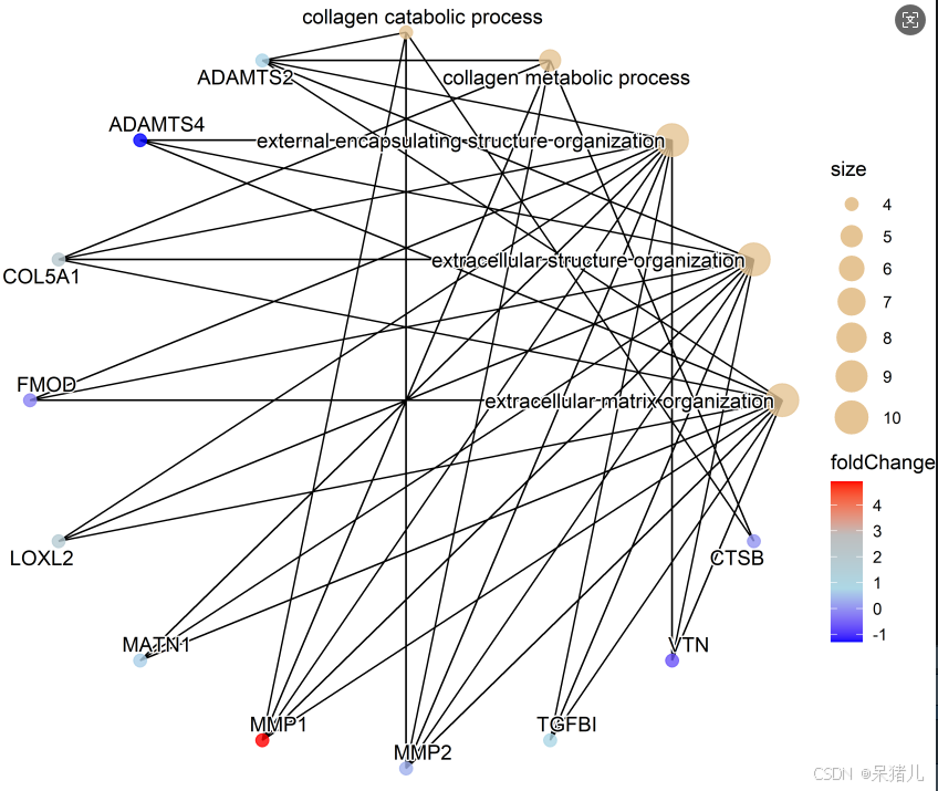 零基础入门转录组数据可视化——绘制富集分析网络图（常规）_cnetplot-CSDN博客