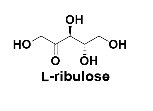 cas：2042-27-5，L-ribulose是一种五碳酮糖_xylulose ribulose-CSDN博客