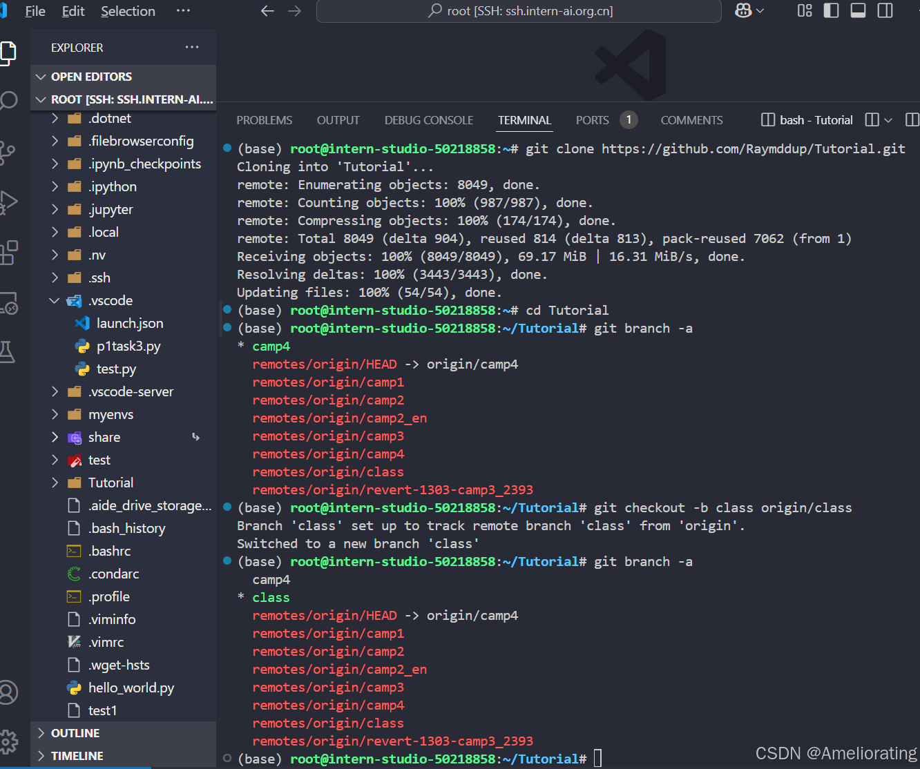 书生大模型实战营L0G3000-Git前置基础-CSDN博客