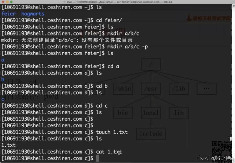 【可实战】Linux 常用命令之文件处理：ssh、ls、cd、pwd、mkdir、touch、rm、cp、mv、ln、find、cat、tail、tar、echo、＞、chmod ...