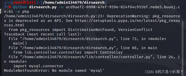 BUUCTF Web [ACTF2020 新生赛]BackupFile1-CSDN博客