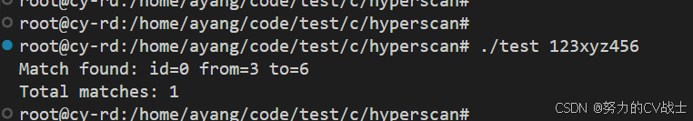 Hyperscan-正则匹配-CSDN博客