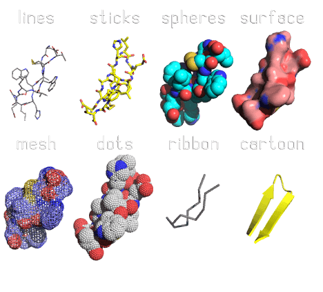 pymol入门教程-1：-CSDN博客