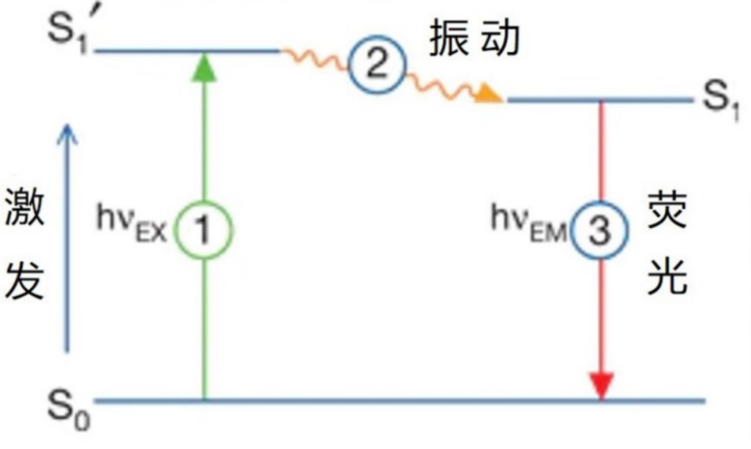 AbMole| 荧光染料的详细讲解-CSDN博客