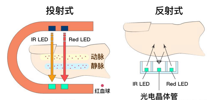 一文详解心率（HR）监测原理与应用_rr和pp和hr-CSDN博客