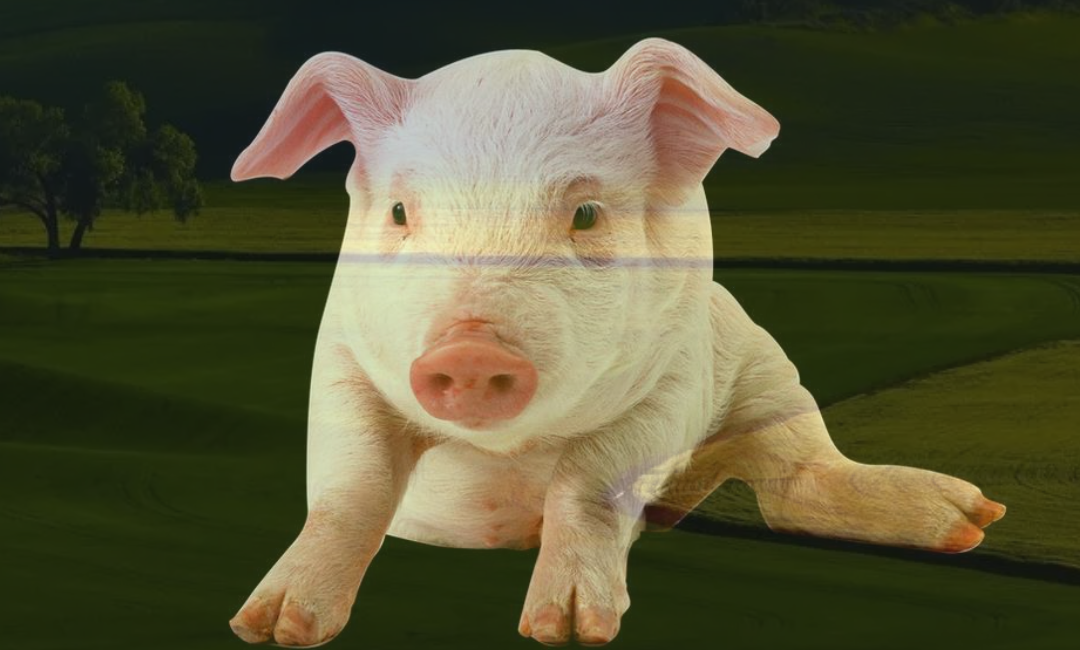 揭秘OpenCV图像处理_opencv hsv-CSDN博客