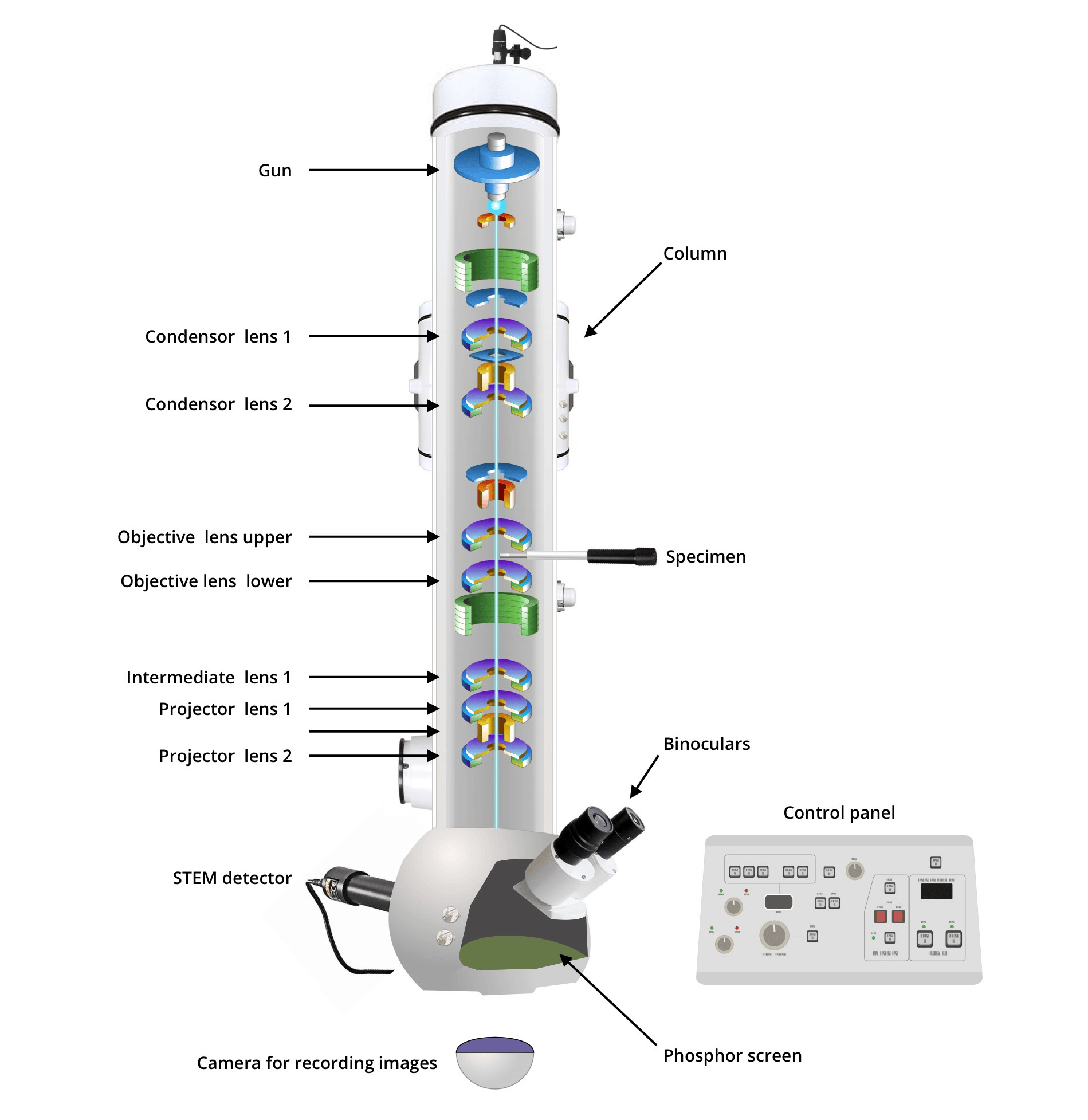 技术解读专栏|透射电子显微镜（TEM）_tem 影像和衍射模式-CSDN博客